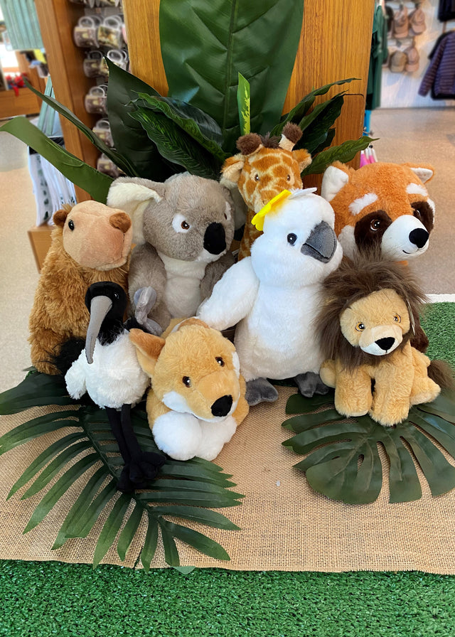 Taronga Zoo Shop - Buy Animal Plush Toys, Sustainable Gifts & More