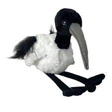 'Bazza', the Australian Ibis – Taronga Zoo Shop