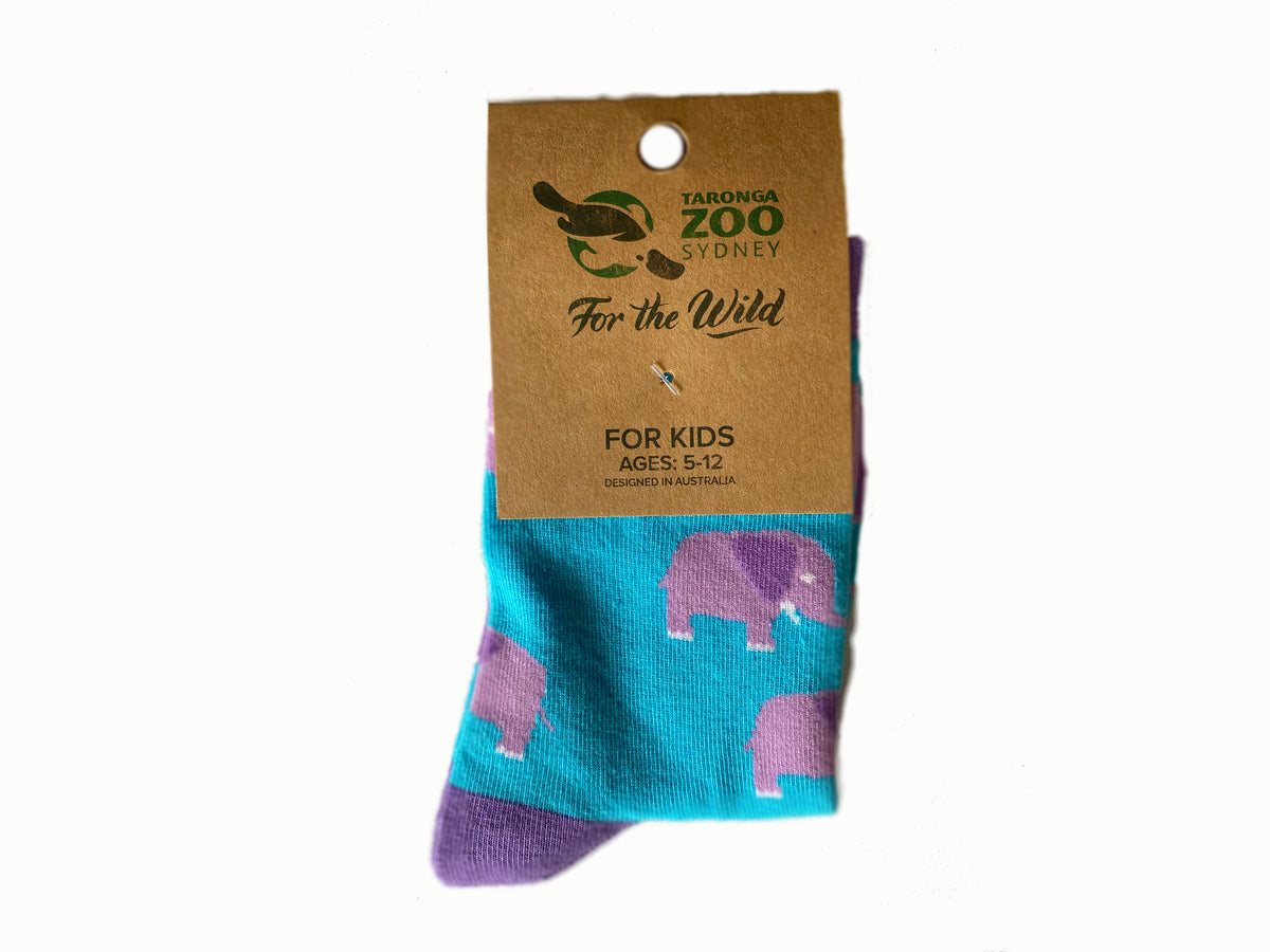 Elephant Kids Socks – Taronga Zoo Shop