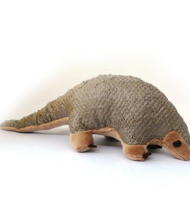 Pangolin Soft Toy - Taronga Legacy Range – Taronga Zoo Shop