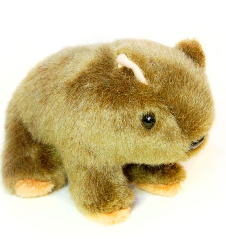 Australian Made Wombat Soft Toy – Taronga Zoo Shop