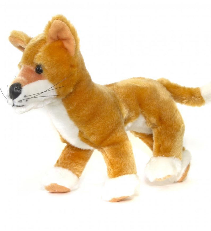 Dingo Soft Toy – Taronga Zoo Shop